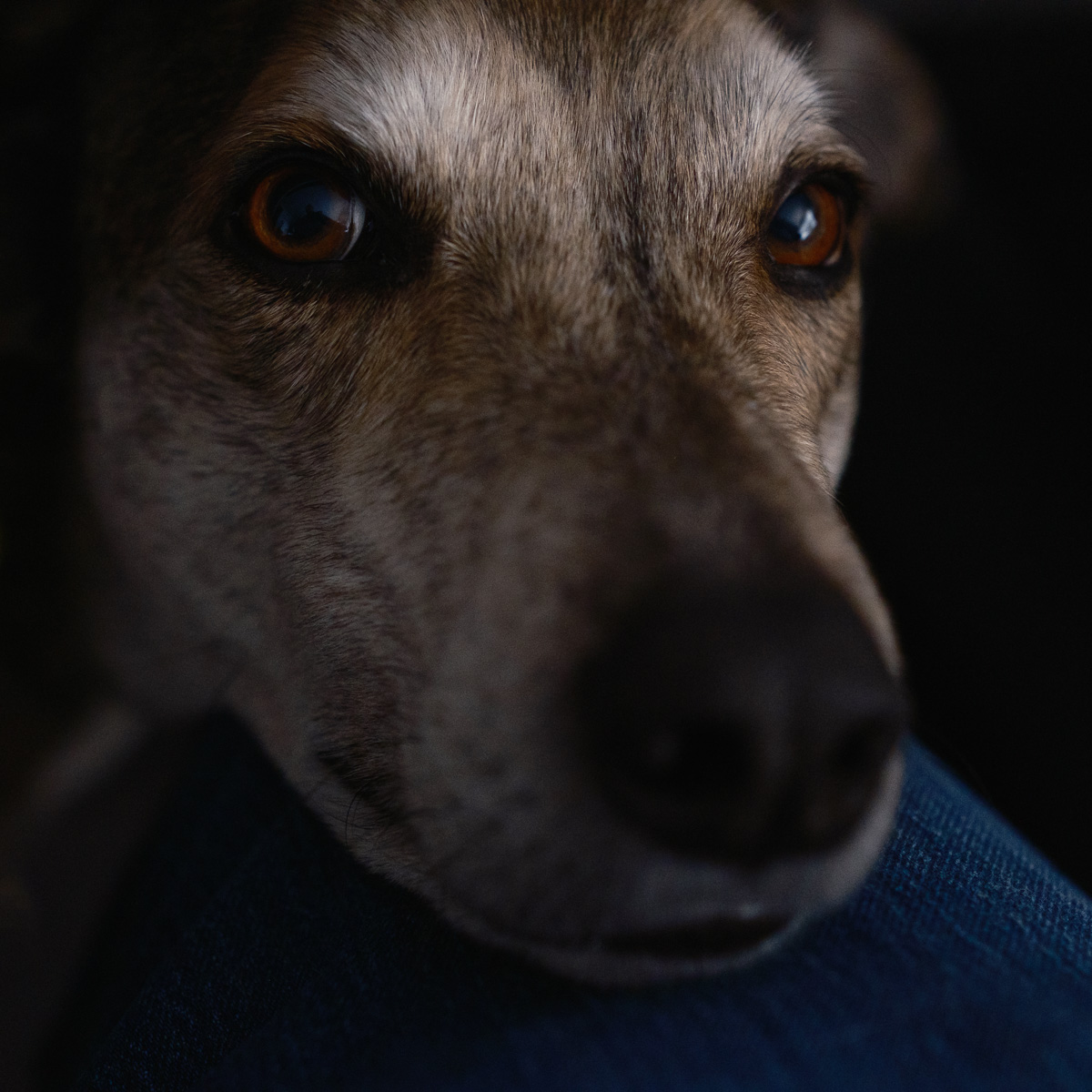 New Luke - Daniel Stout Photography
